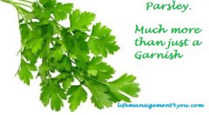 Health Benefits of Parsley | More than Just a Garnish